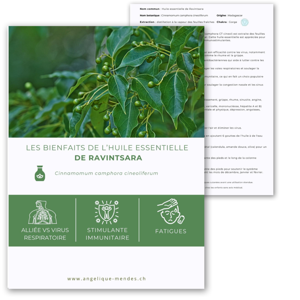 Comment utiliser l'huile essentielle de ravintsara?
